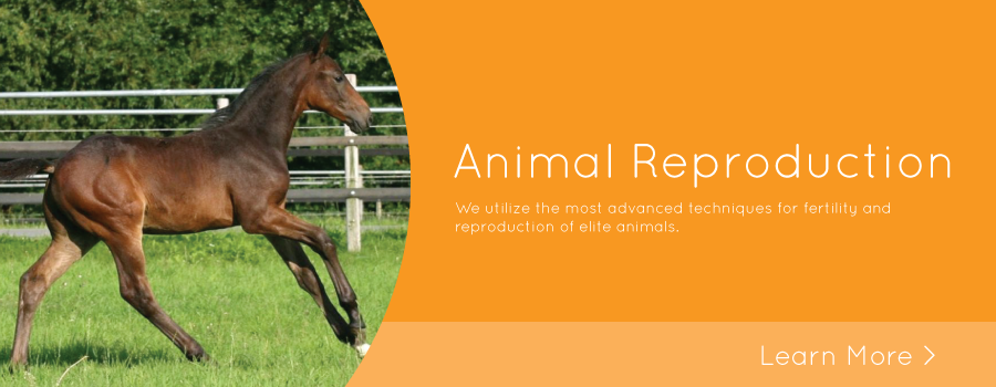 Embryotools S.L. – for better results