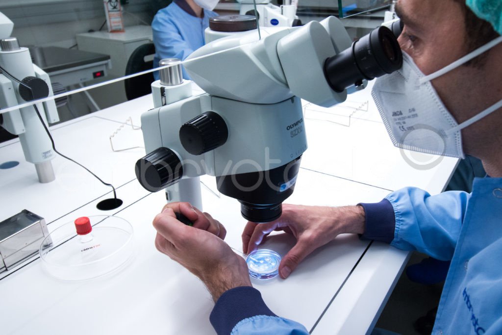 02 - An Overview on IVF techniques - Embryotools