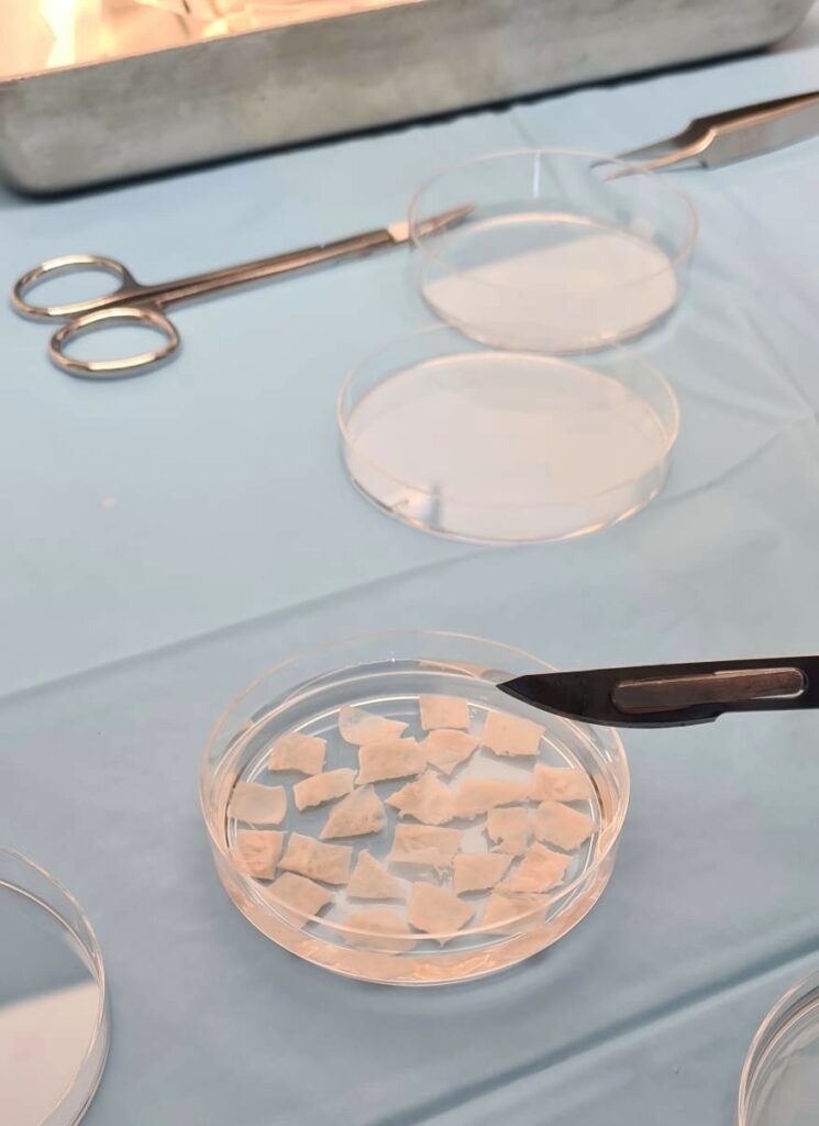 06 - Ovarian Tissue Cryopreservation - Embryotools